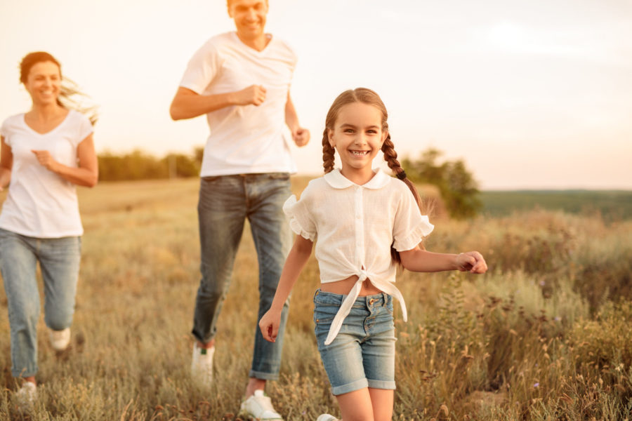 Powlett Ridge - LandGipps